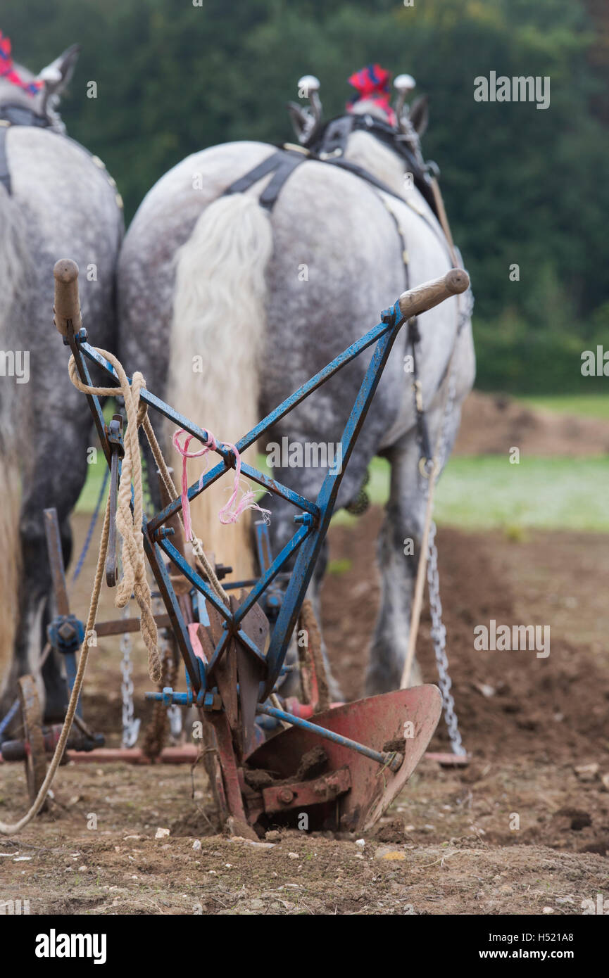 Single sided plough hi-res stock photography and images - Alamy