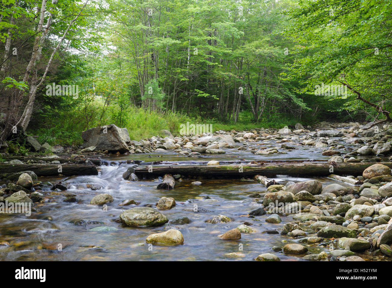 Remnants of what is believed to be the upper reserve dam, “Little Dam ...