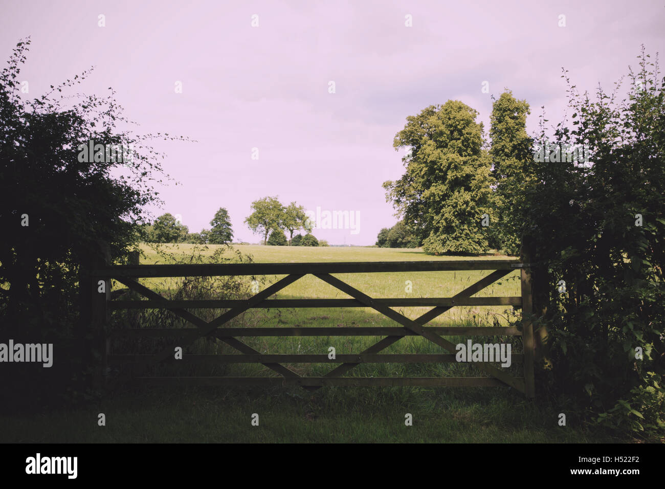 Gate at the entrance to a field in the english countryside Vintage ...