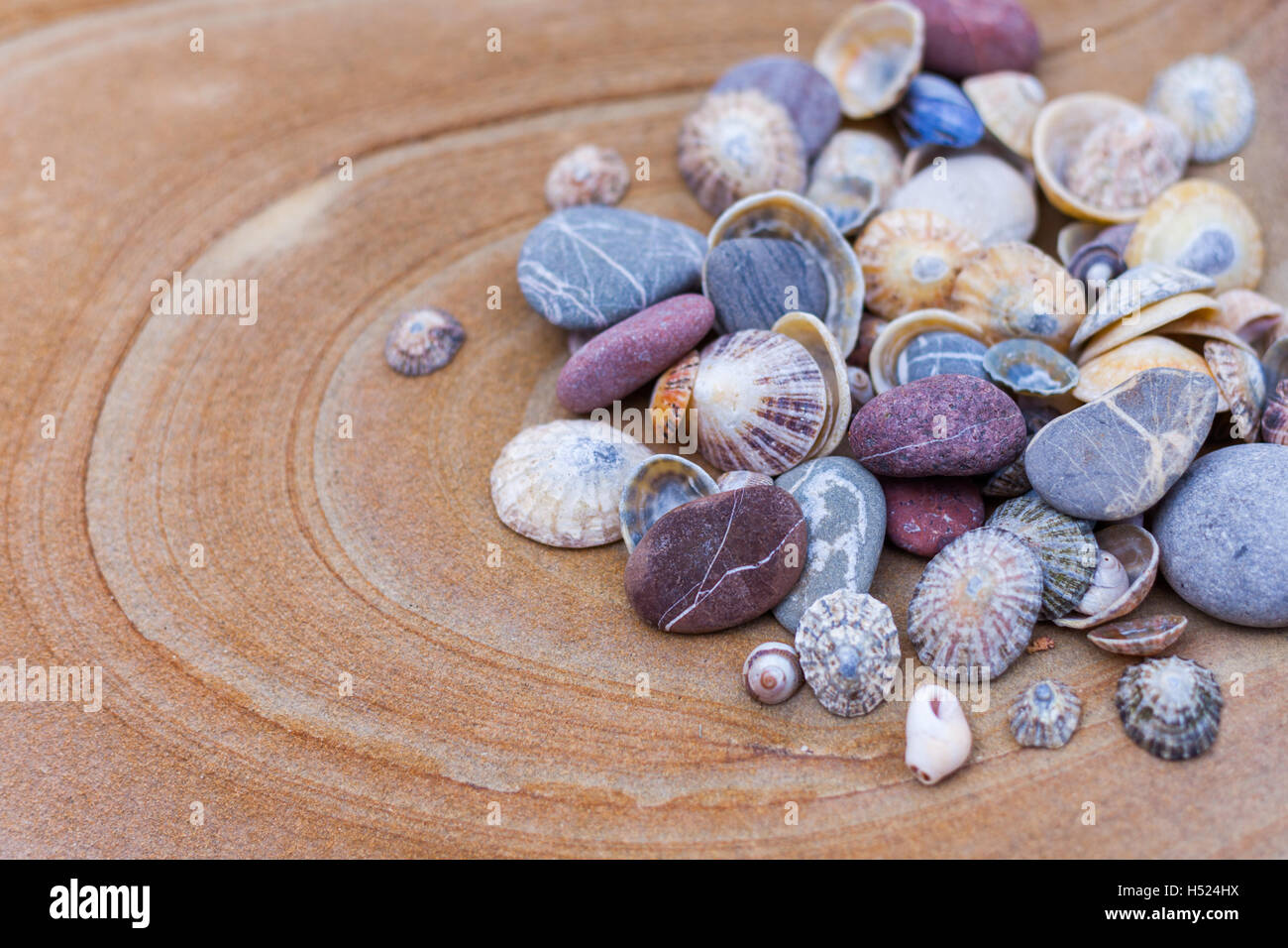 A collection of pretty pastel coloured pebbles and sea shells on a ...