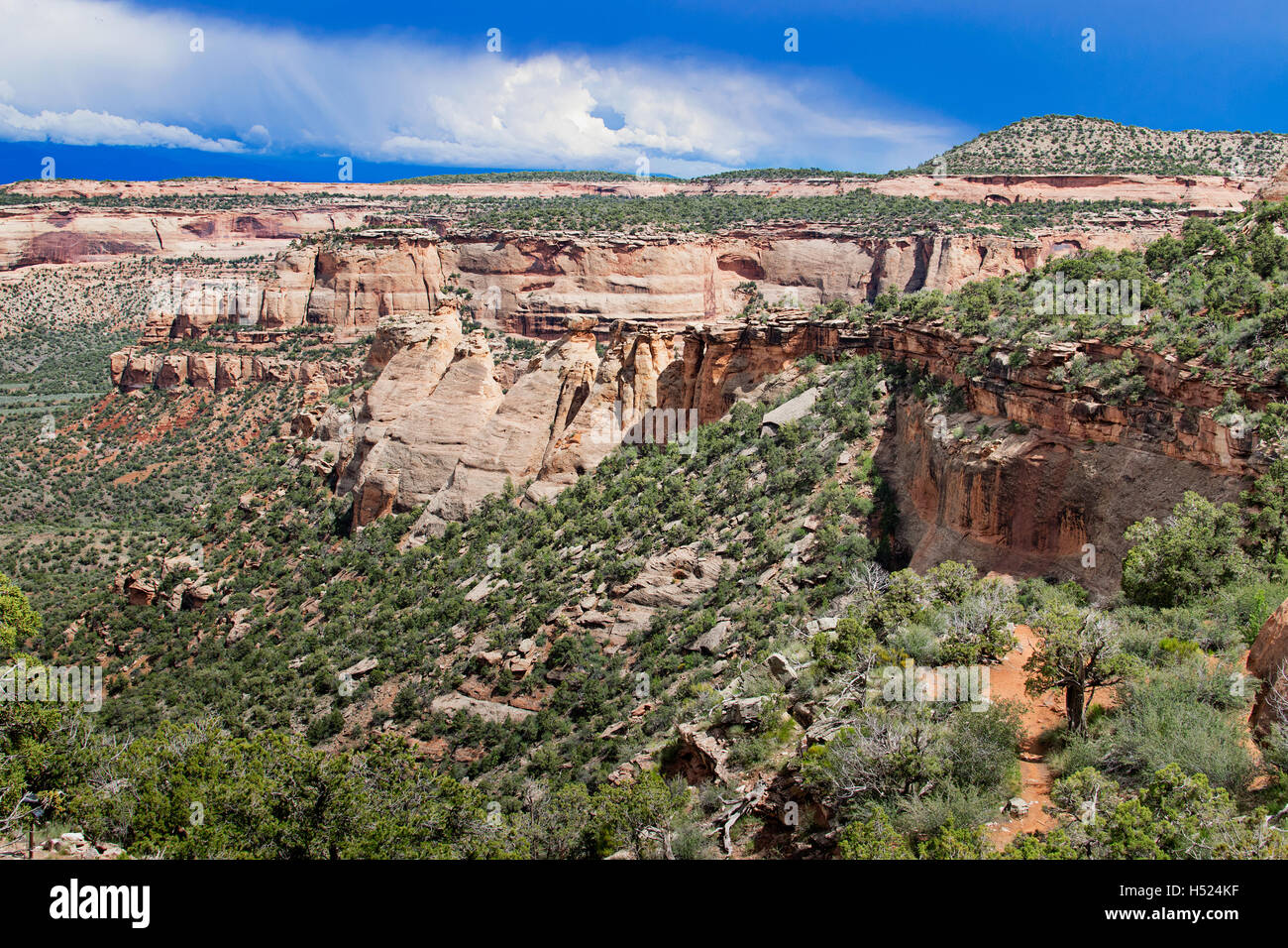 Rock Formation in Colorado National Monument, USA Stock Photo - Alamy