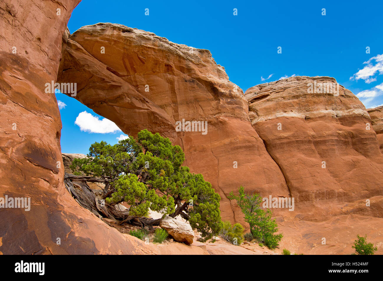 Broken Arch in Arches National Park, Utah; USA Stock Photo - Alamy