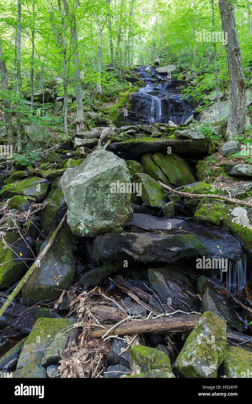 Oak Falls along Black Brook (the Mikaseota) in Warren, New Hampshire ...