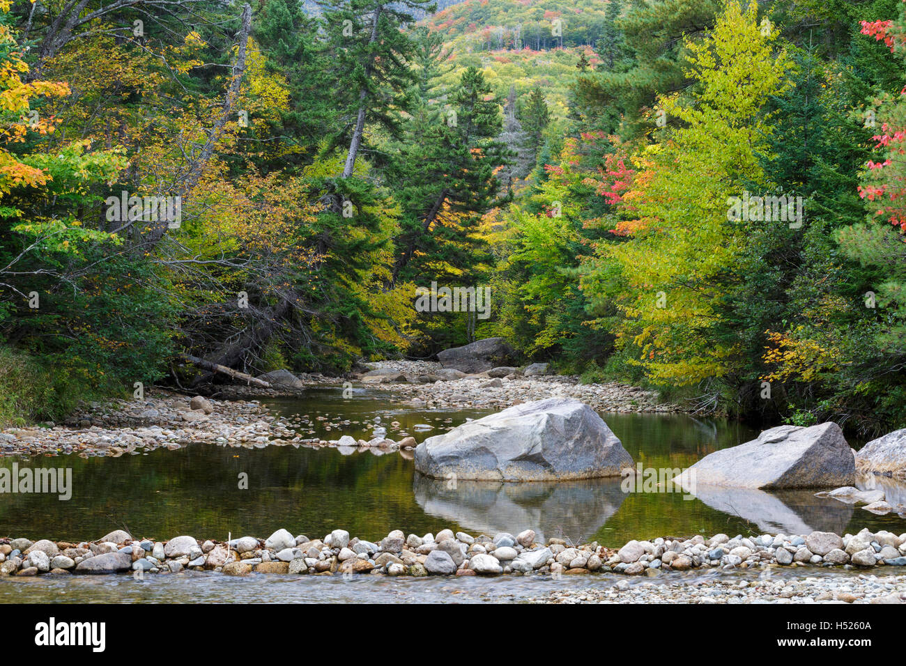 Zealand River in Bethlehem, New Hampshire USA during the autumn months ...