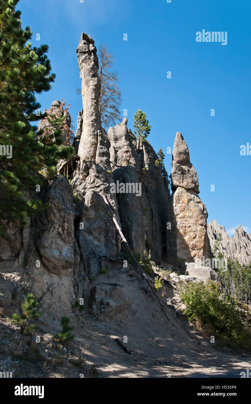 Rock formations, Needles Highway, Custer State Park, South Dakota Stock ...