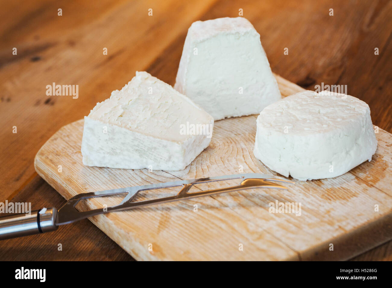 Close up of fresh goats cheese Stock Photo - Alamy
