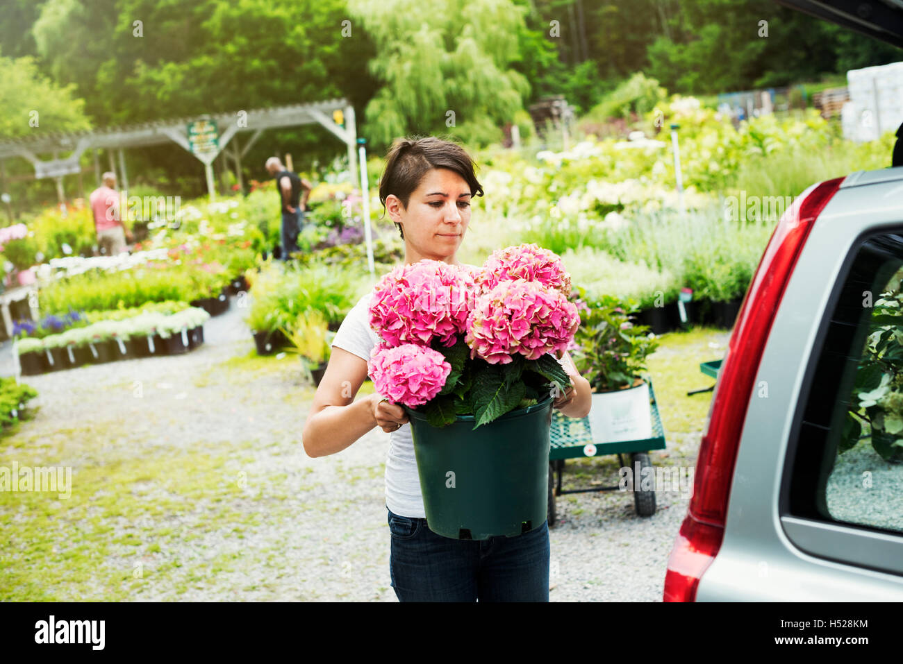 Car parked at a garden centre, a woman loading flowers into the boot ...