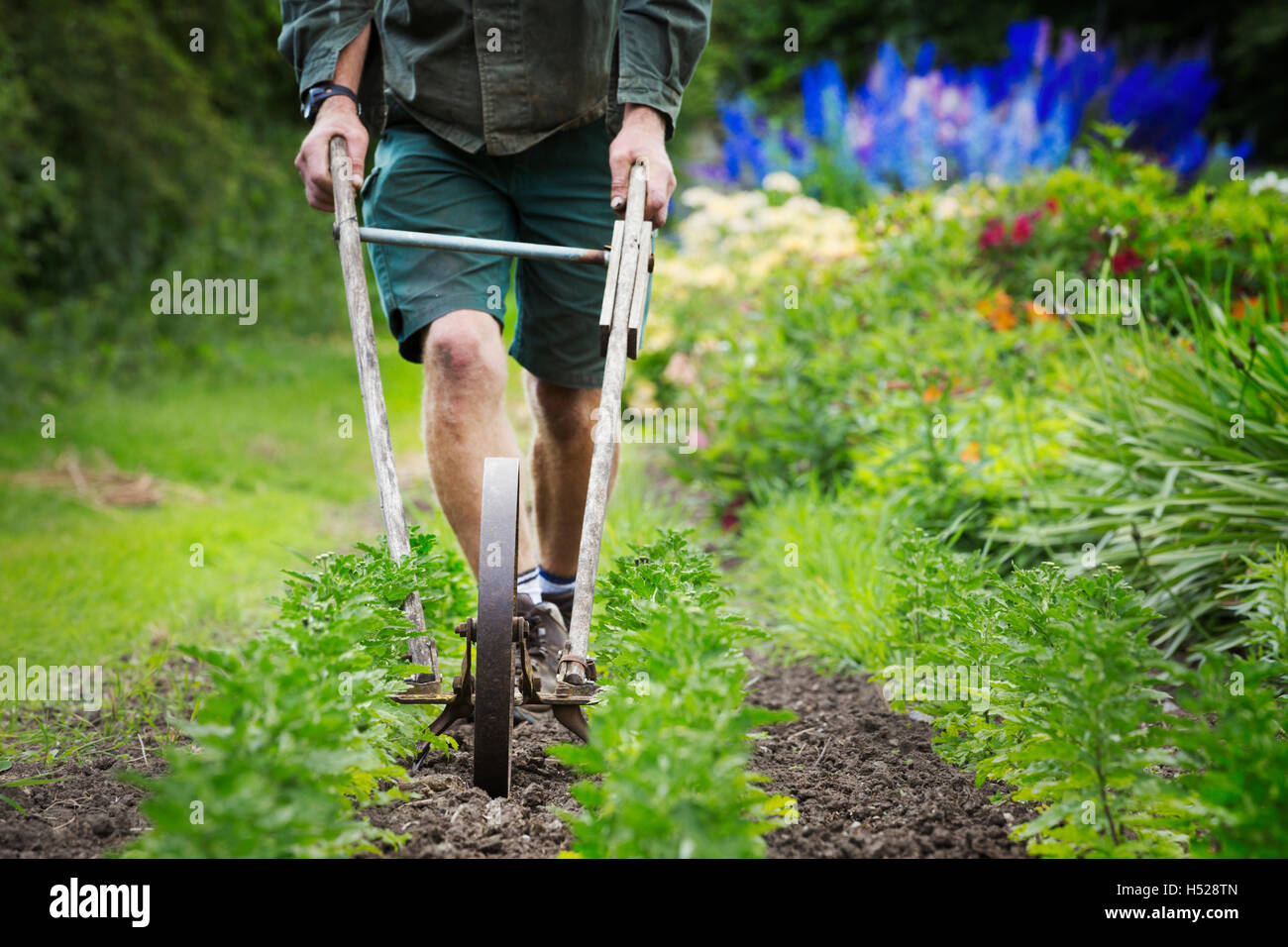 The man with the hoe hi-res stock photography and images - Alamy