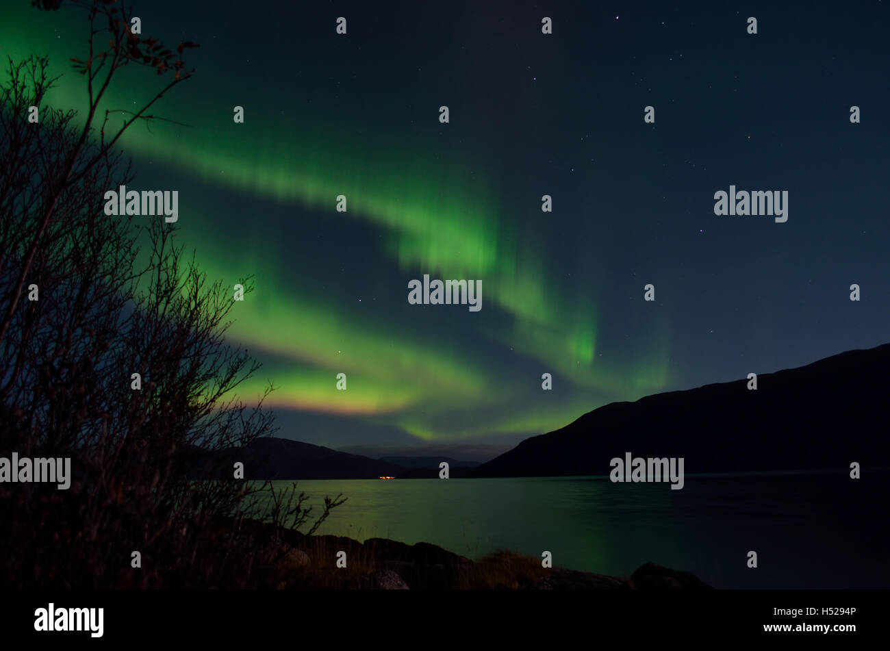 beautiful aurora borealis dancing over mountain and fjord landscape on ...