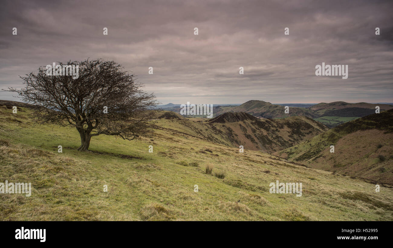 The Long Mynd and Cardingmill Valley, Shropshire Hills, Shropshire ...