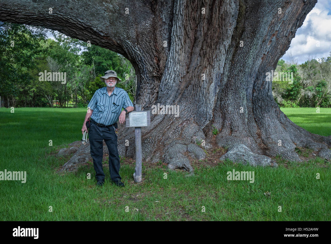 The Cellon Oak Park near Gainesville, Florida, contains the Florida ...