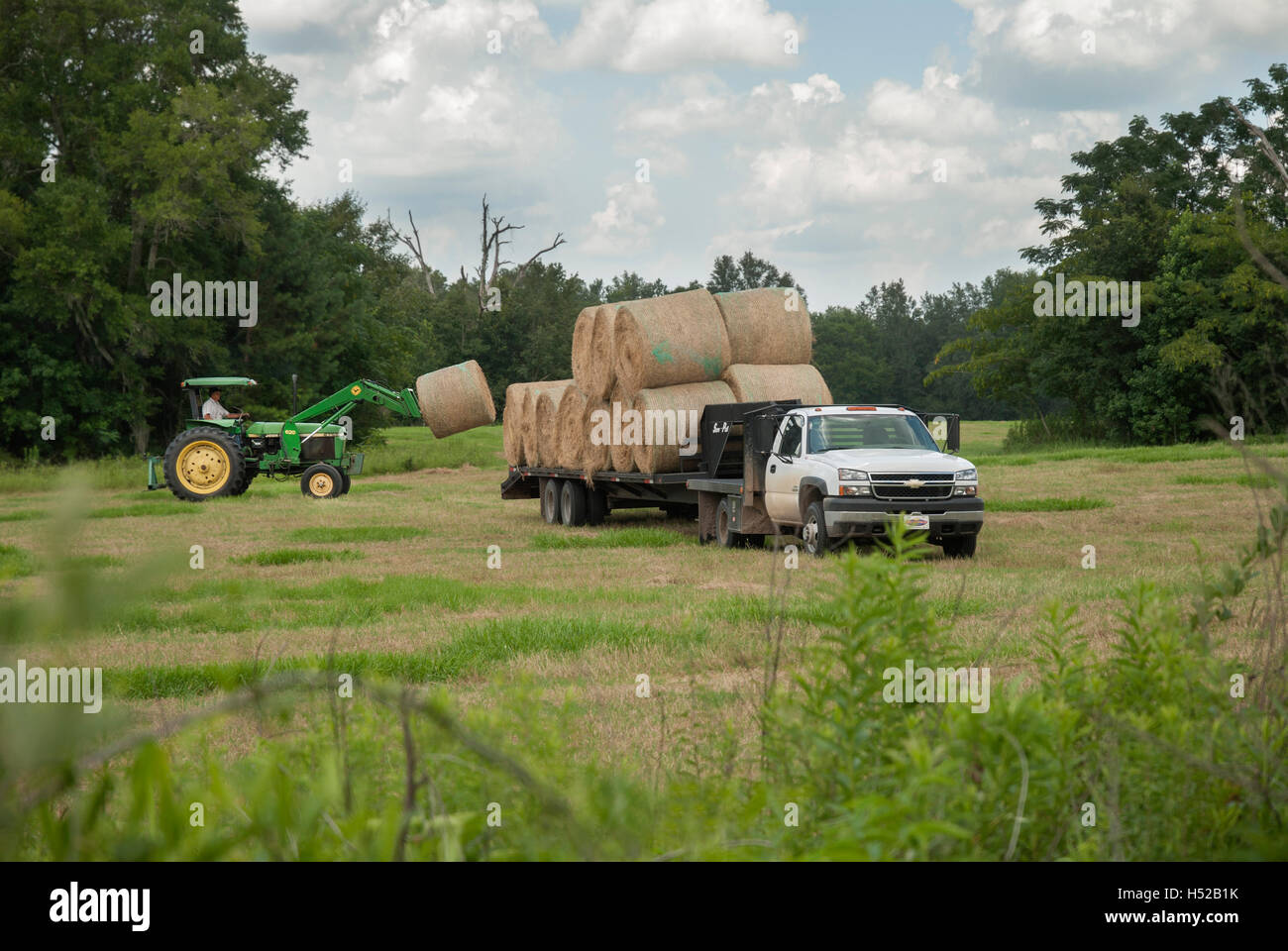 Loading hay rolls onto truck in rural North Florida Stock Photo - Alamy