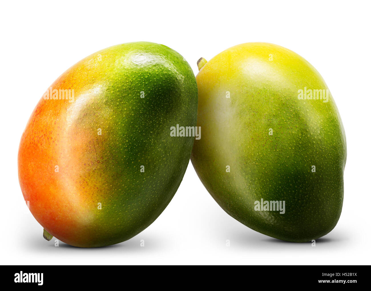 Group of mango fruit isolated on white background Stock Photo - Alamy