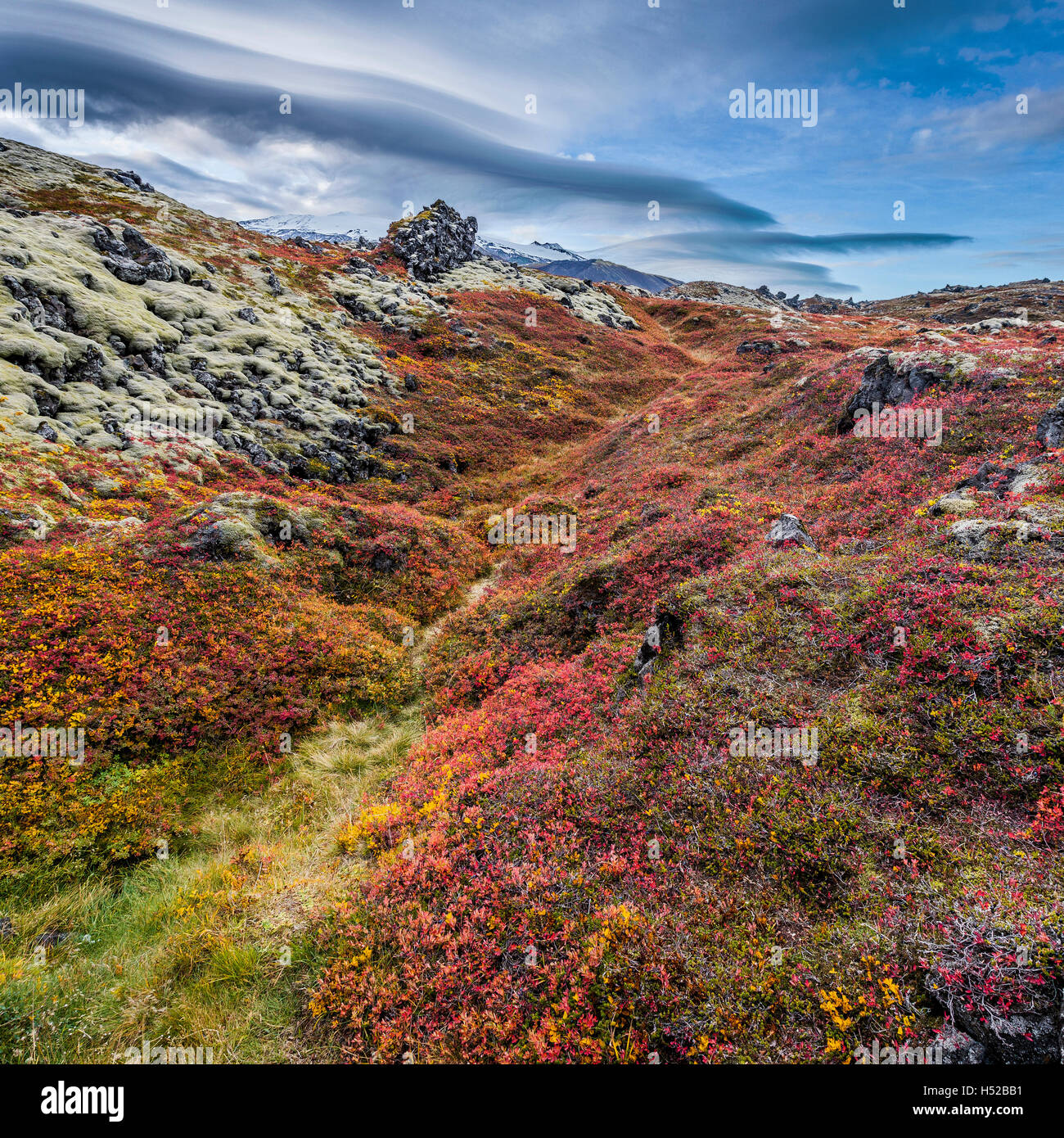 Lava and moss landscape in the autumn, Snaefellsjokull National Park ...