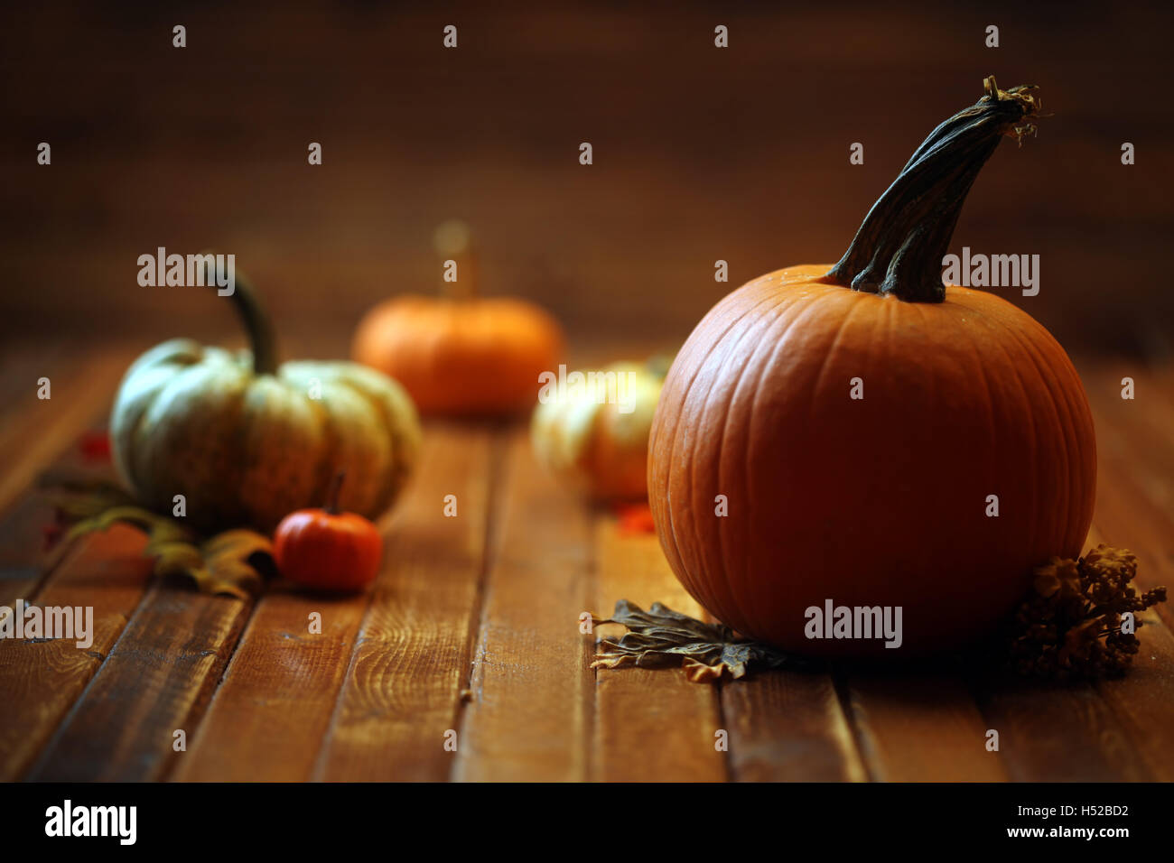 Autumn pumpkin background Stock Photo - Alamy