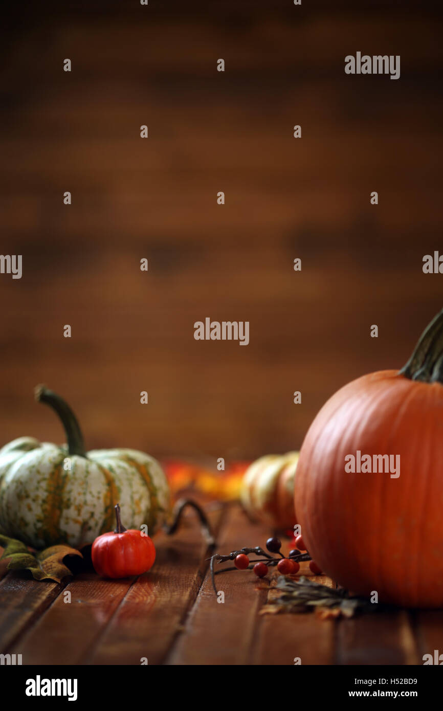Autumn pumpkin background Stock Photo - Alamy