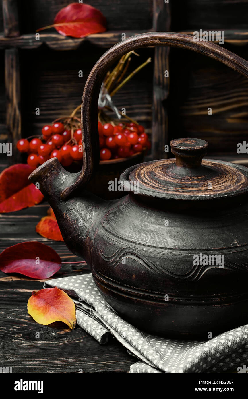 Stylish teapot with tea from medicinal autumn berries tea with viburnum ...