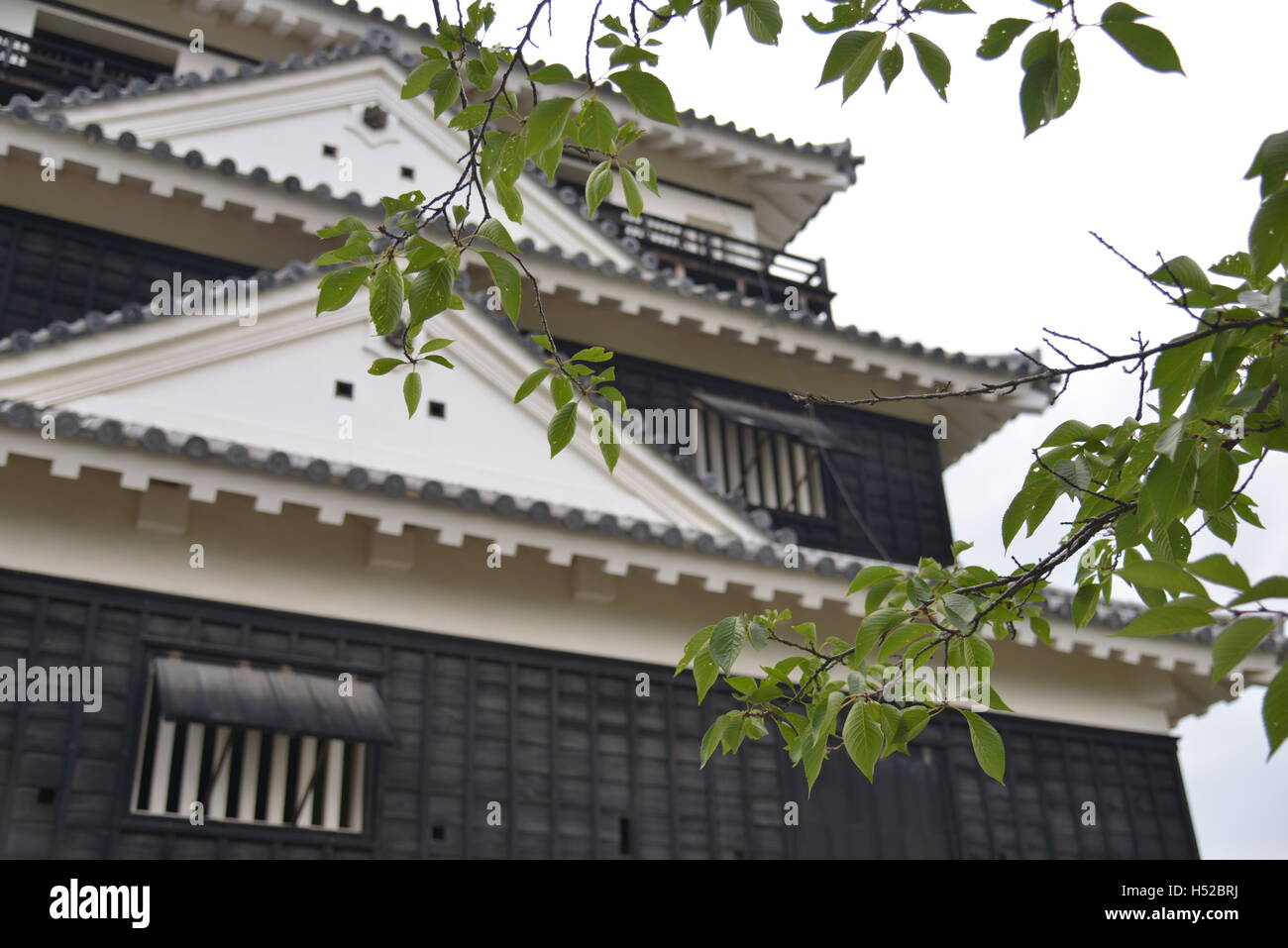 Spot Matsuyama Castle Japan Stock Photo - Alamy