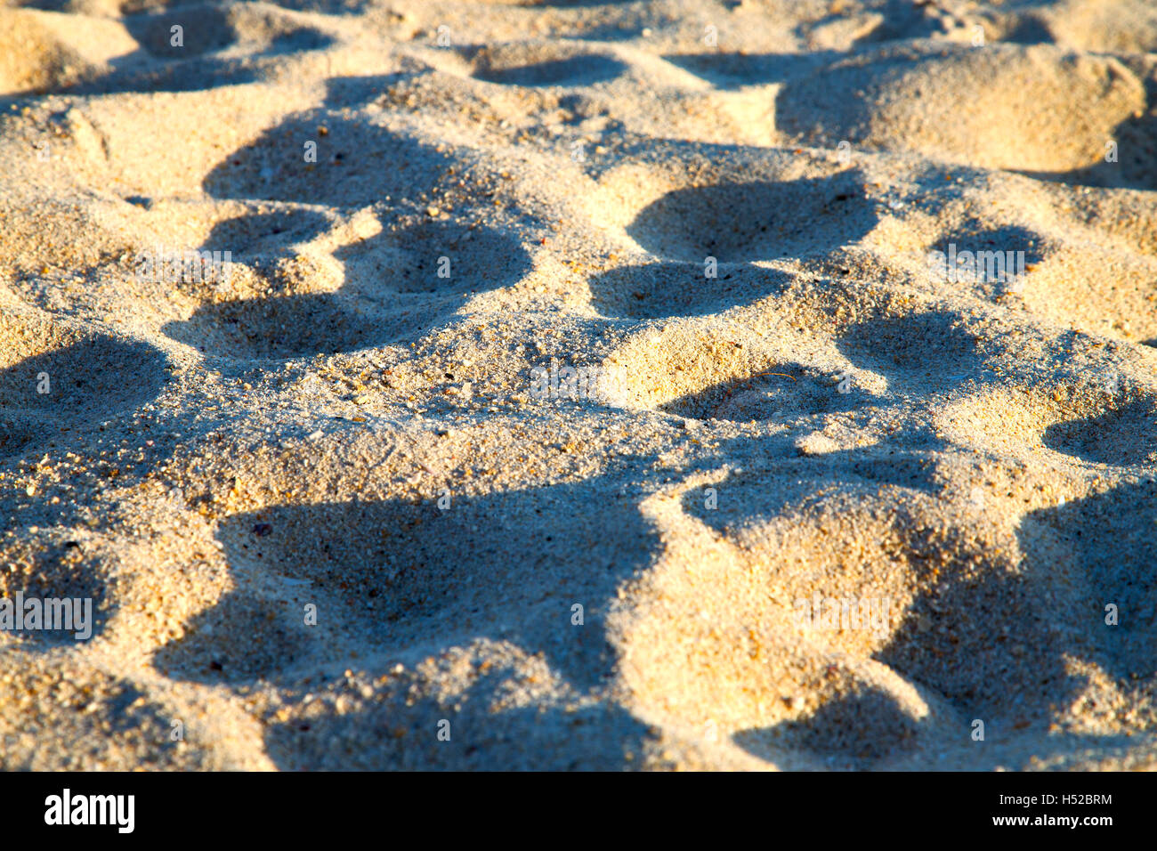 texture footstep in kho samui bay thailand asia rock stone abstract ...