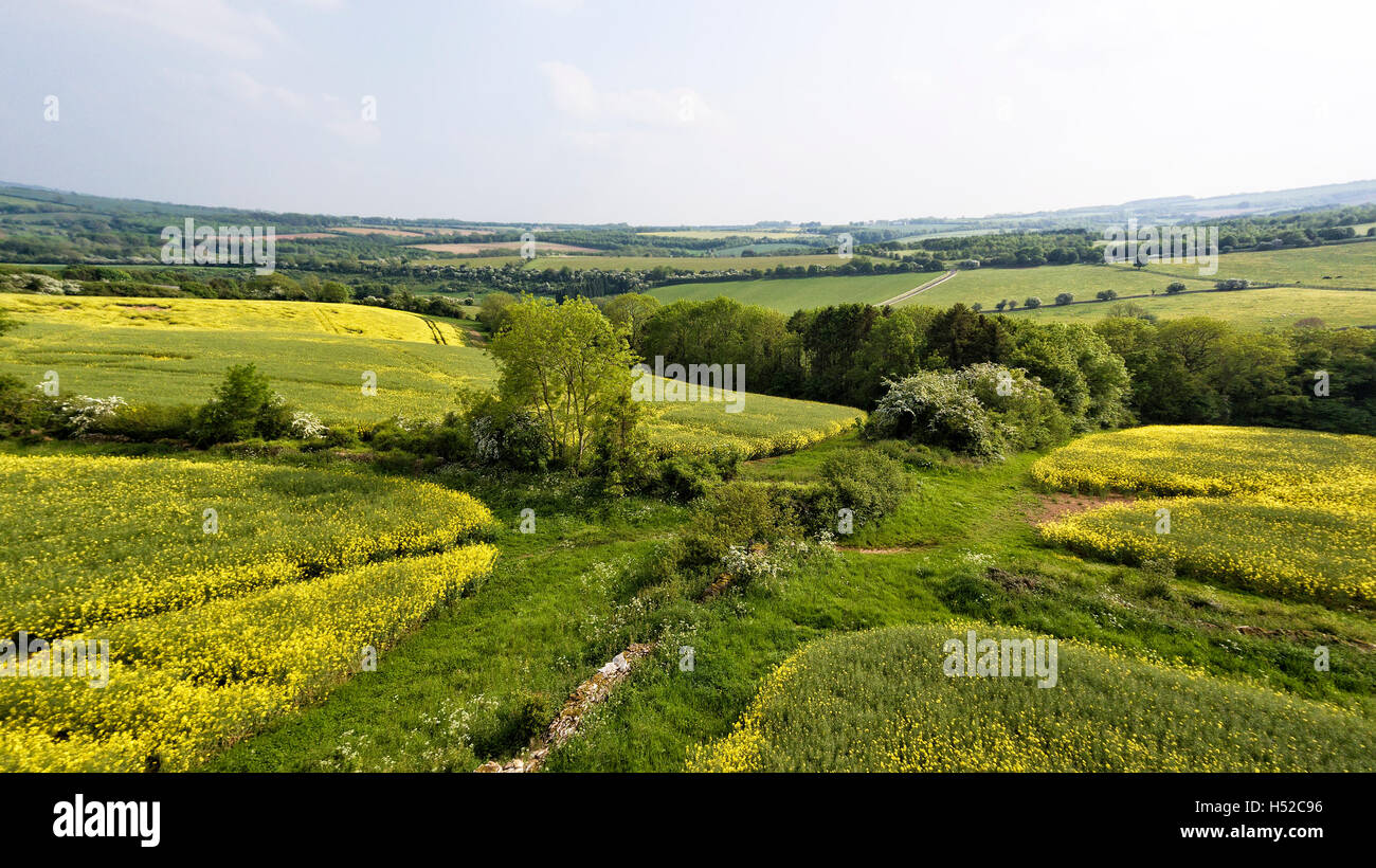 Aerial view of colourful flowering fields in spring english countryside ...