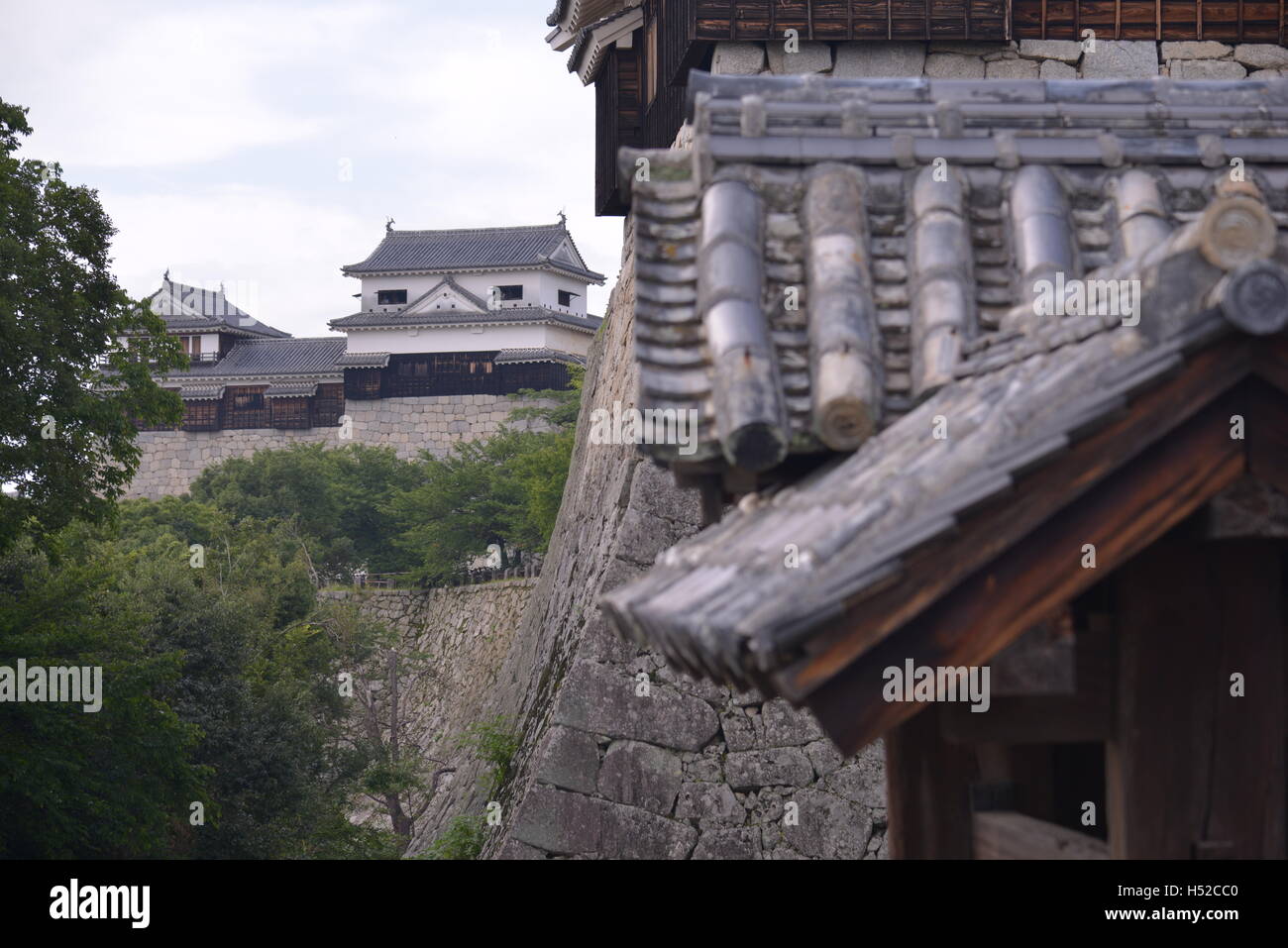 Spot Matsuyama Castle Japan Stock Photo - Alamy