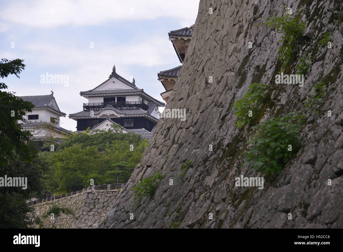Spot Matsuyama Castle Japan Stock Photo - Alamy