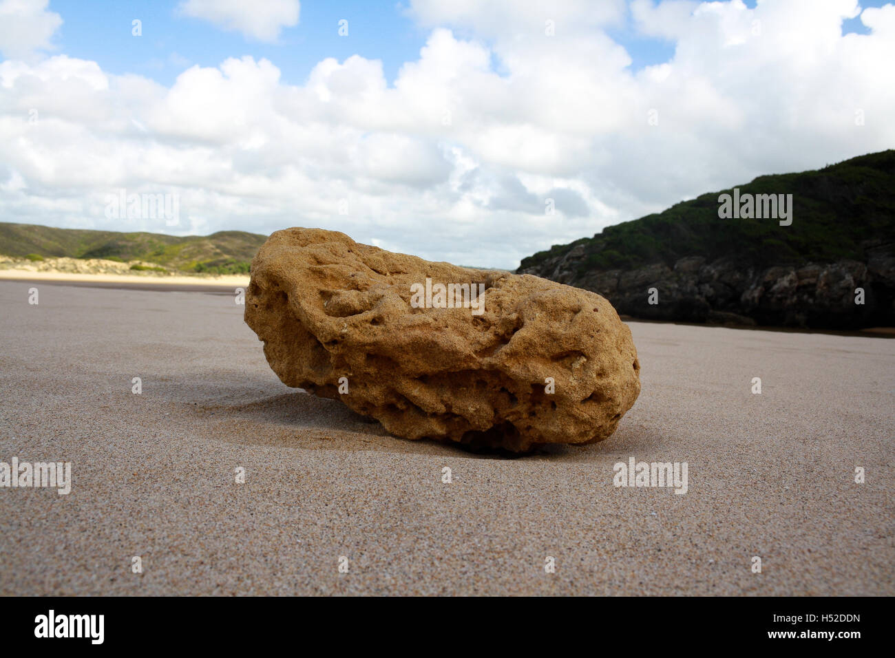 Pumice stone on the sand Stock Photo - Alamy
