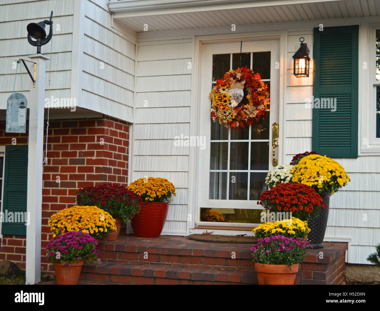 Fall mums hi-res stock photography and images - Alamy