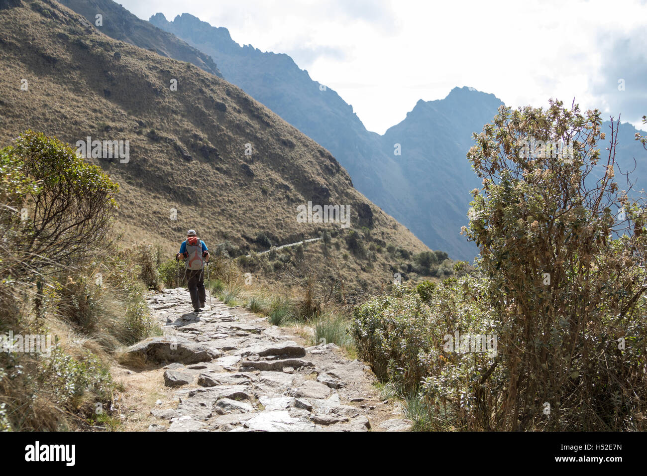 Single hiker along the Inca Trail Stock Photo - Alamy