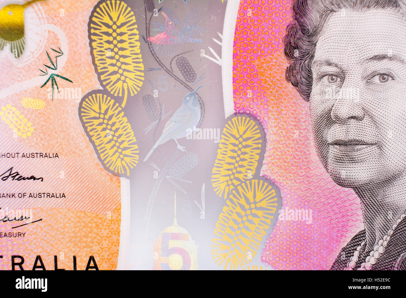 Australian currency five dollar banknotes hi-res stock photography and ...