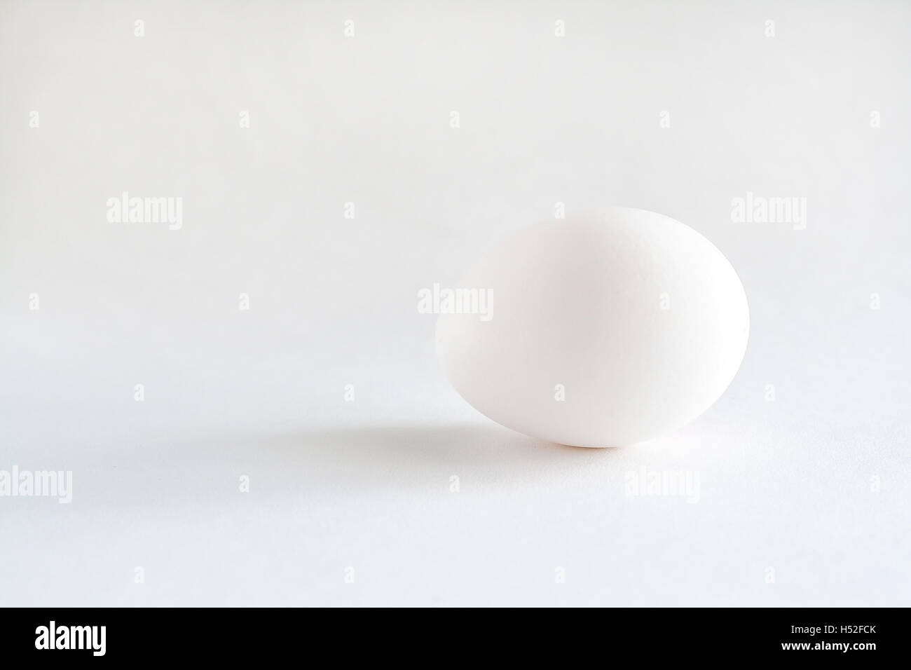 one white egg isolated white background Stock Photo - Alamy
