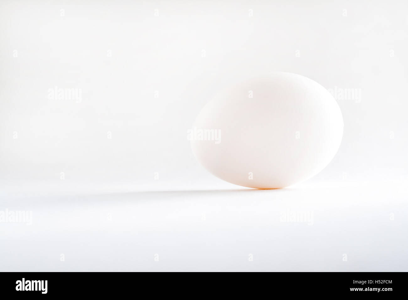 one white egg isolated white background Stock Photo - Alamy