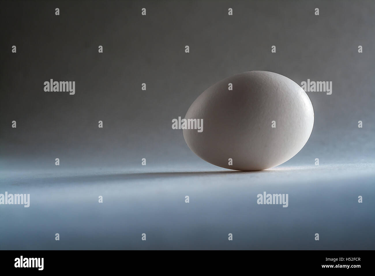 shadow and silhouette of eggs Stock Photo - Alamy