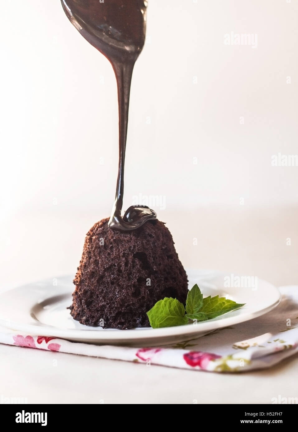 to pour chocolate cake with chocolate syrup and mint leaves on a white ...
