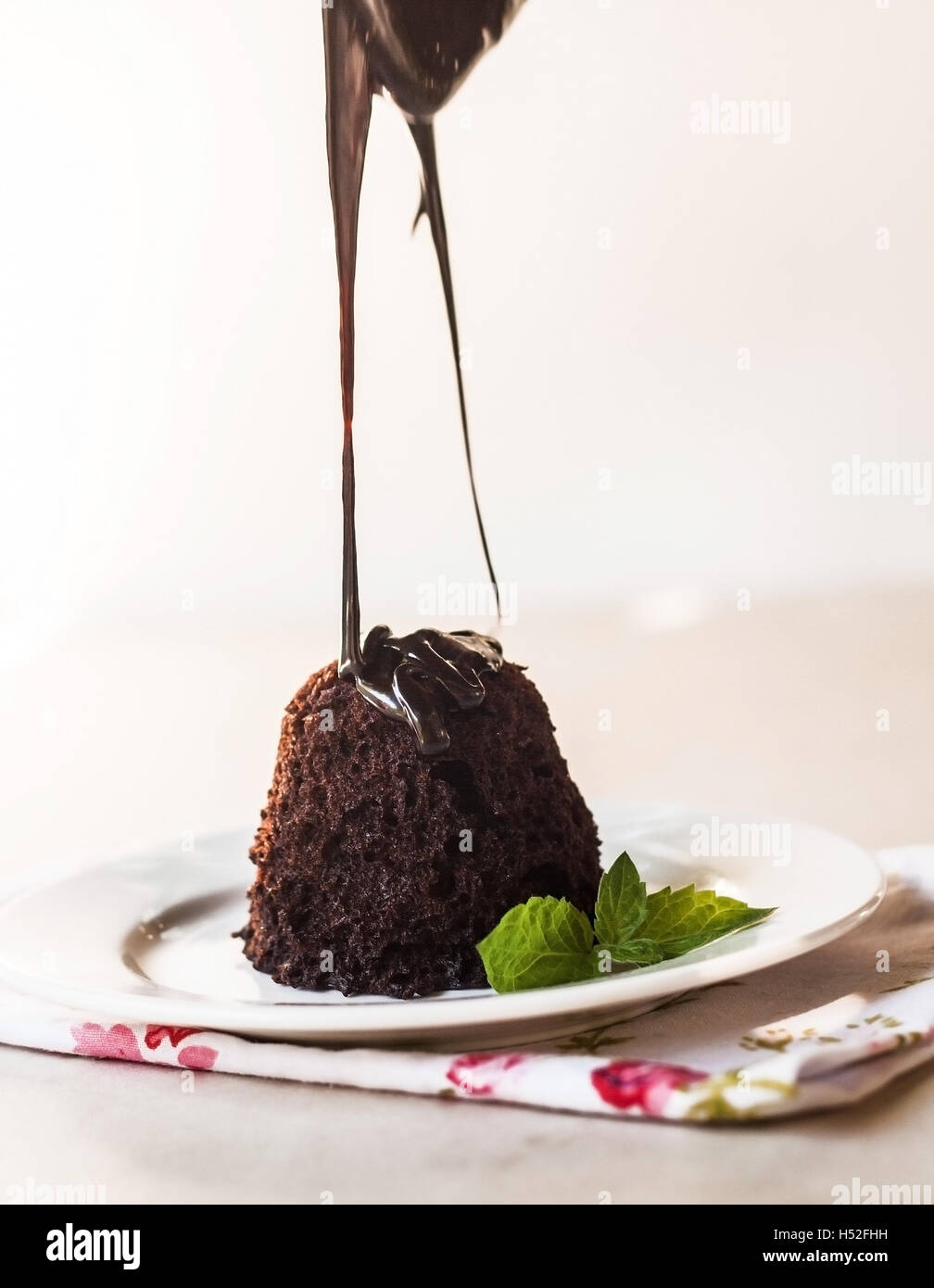 to pour chocolate cake with chocolate syrup and mint leaves on a white ...