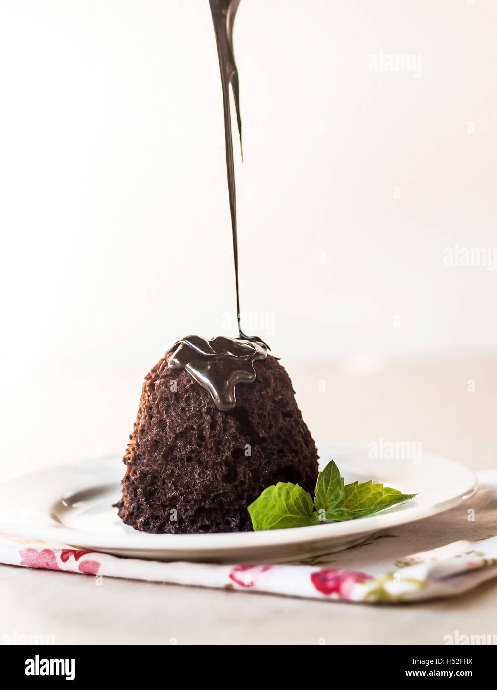 to pour chocolate cake with chocolate syrup and mint leaves on a white ...