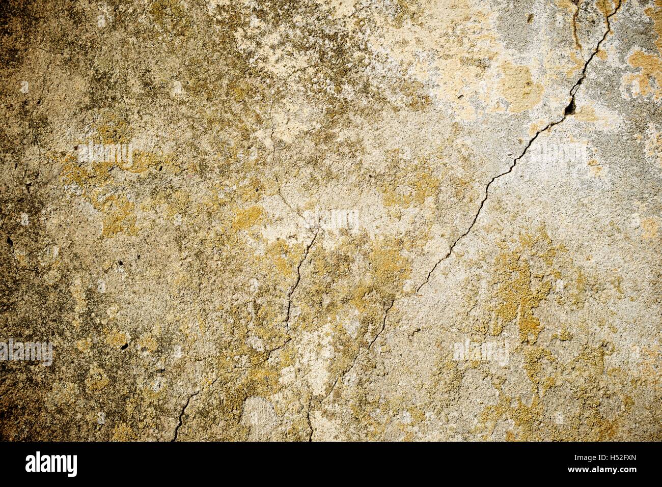Concrete background close up at high resolution Stock Photo - Alamy