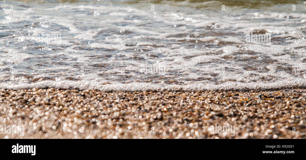 Beach shells waves in hi-res stock photography and images - Alamy