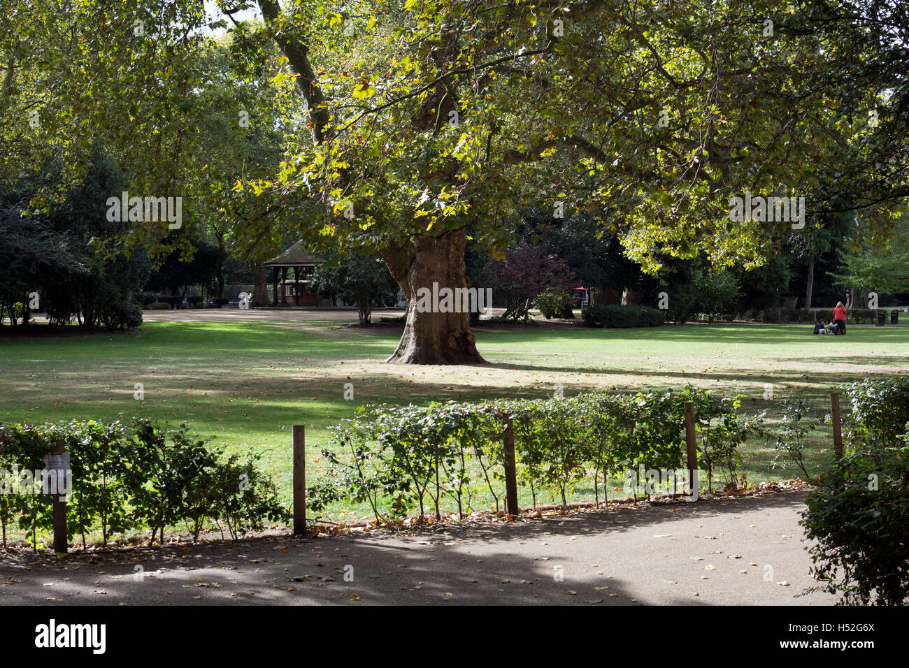 Lincoln`s Inn Fields, London, UK Stock Photo - Alamy