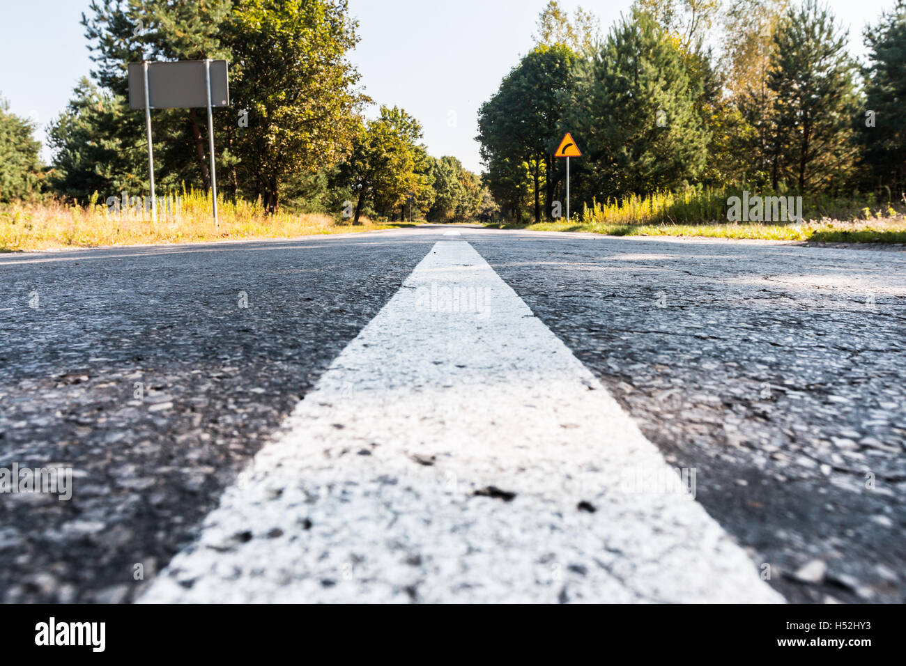 Road into the forest. Color with vignette Stock Photo - Alamy