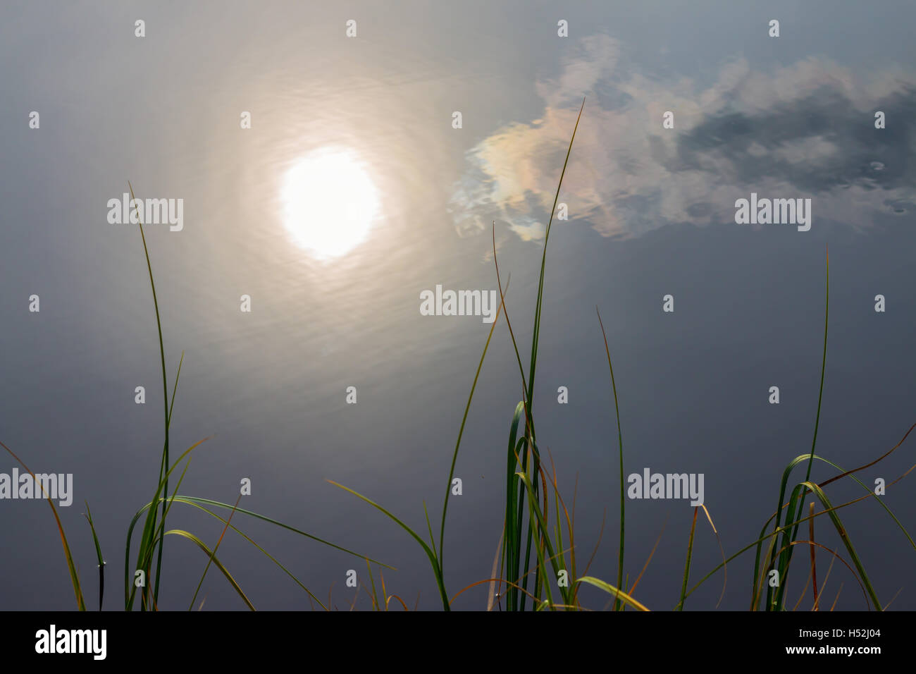 Cloud reflection texture hi-res stock photography and images - Alamy