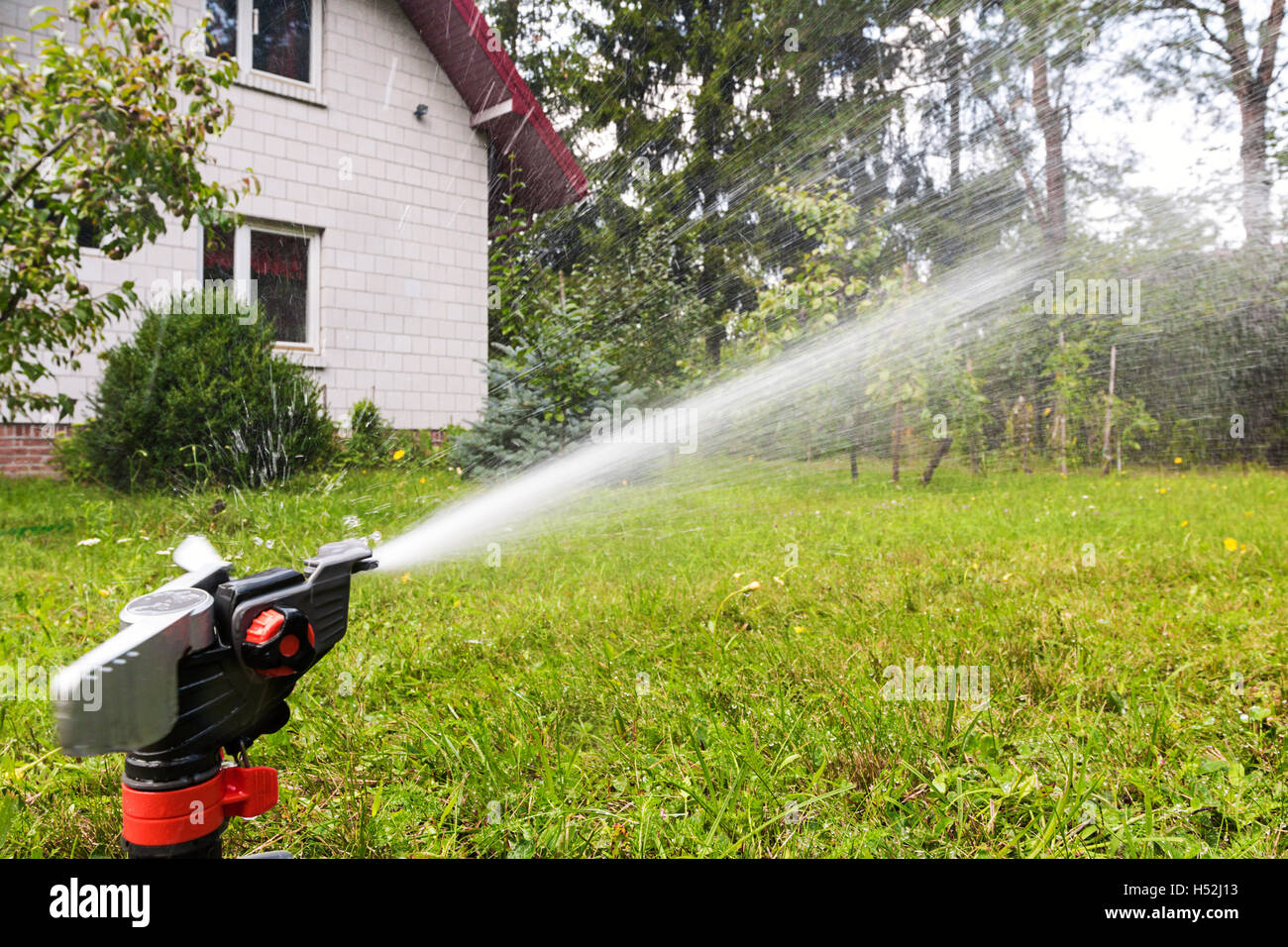 Water drops from sprinkler Stock Photo - Alamy