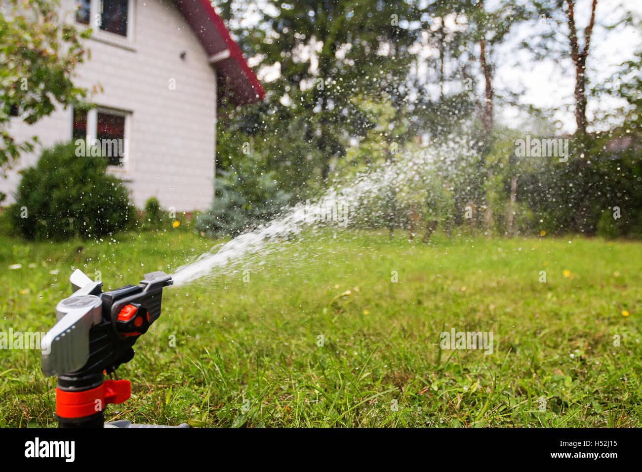 Water drops from sprinkler Stock Photo - Alamy