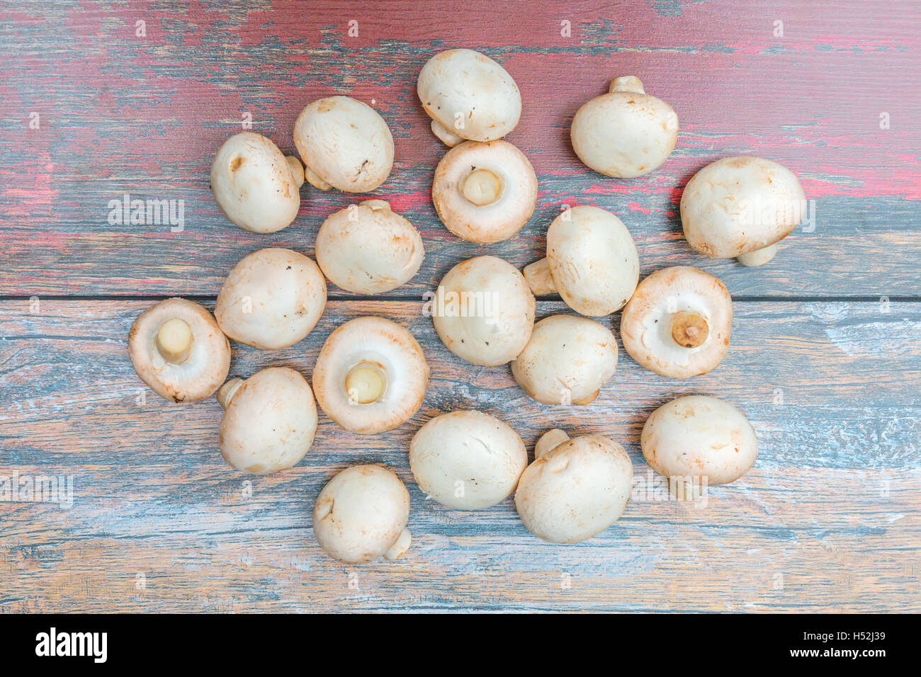 Fresh edible mushroom food hi-res stock photography and images - Alamy