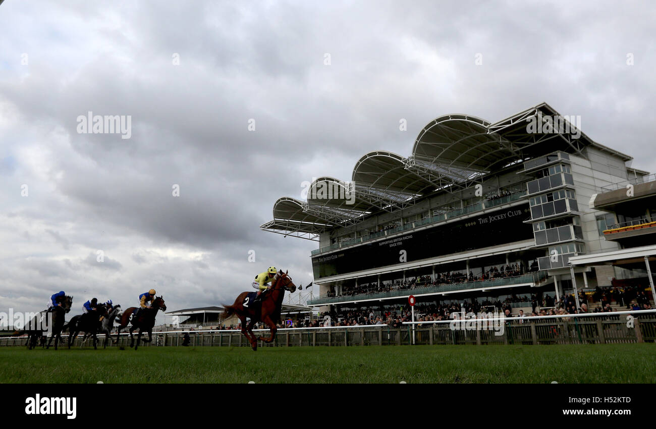 Horse cape byron hi-res stock photography and images - Alamy