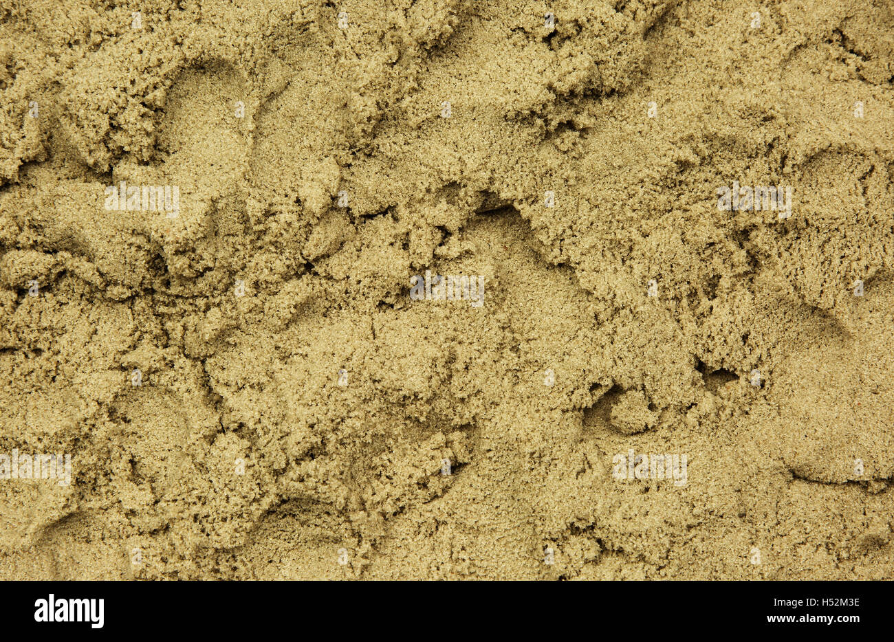 Wet Sand Texture