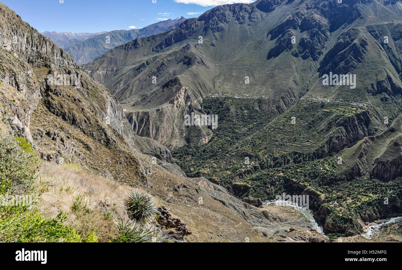 Panoramic view of the deepest Colca Canyon in Peru Stock Photo - Alamy