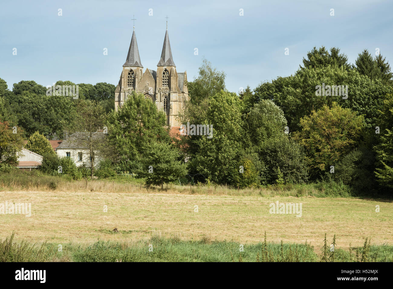 The field Basilica Stock Photo - Alamy