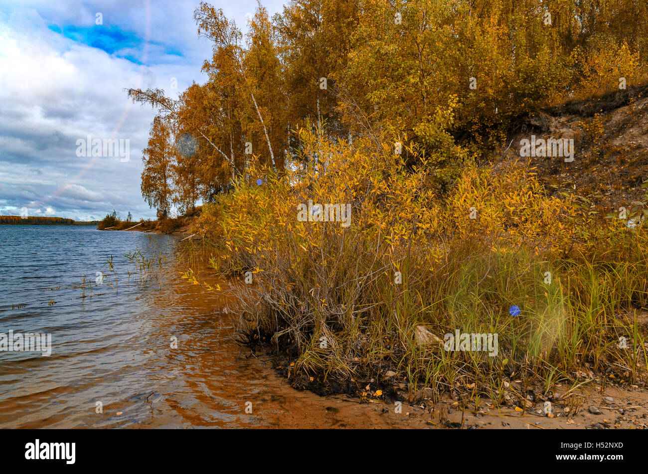 Golden autumn in the month of October in a beautiful forest Stock Photo ...