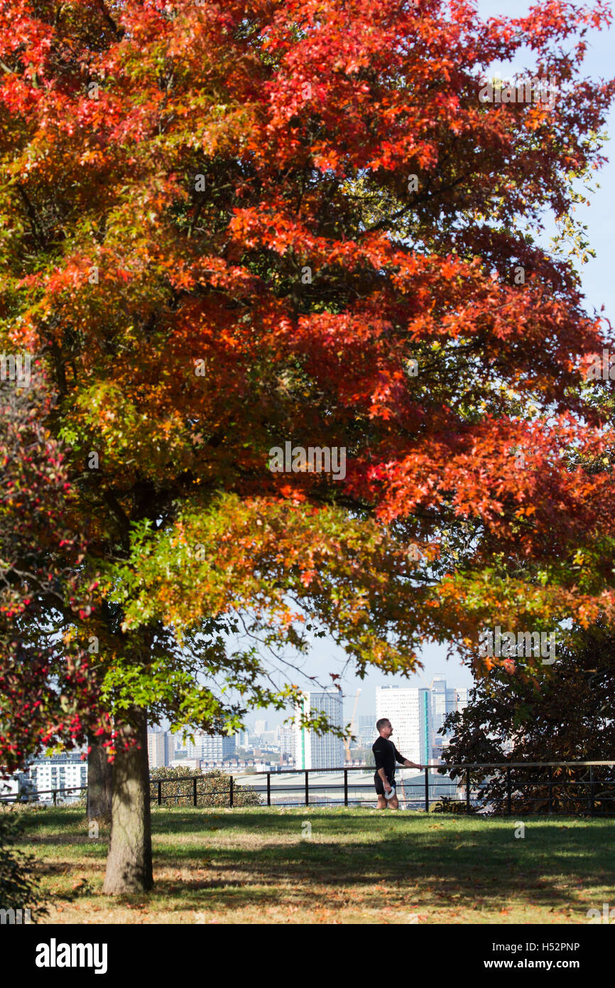 Autumn Scene in Greenwich Park Stock Photo - Alamy